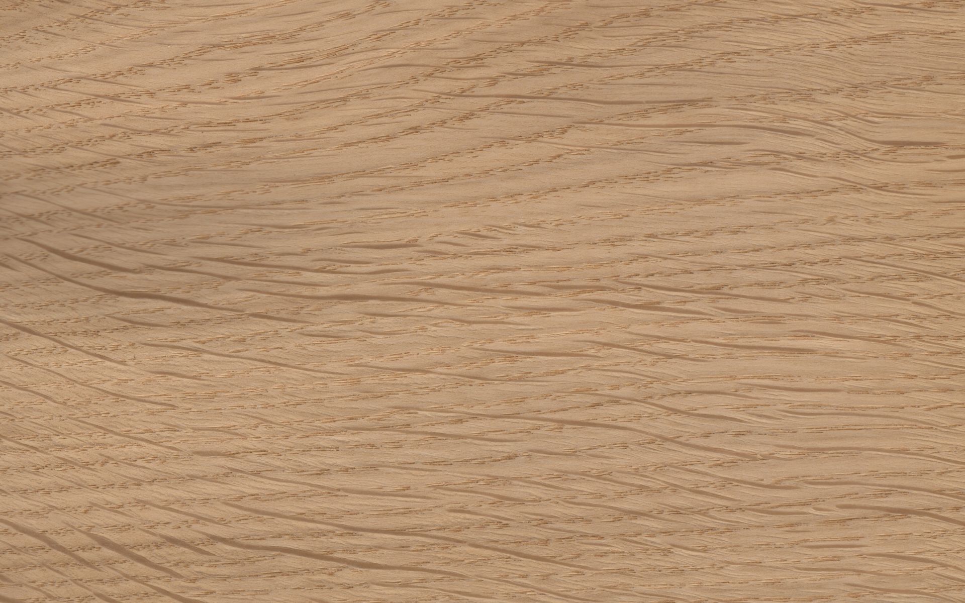 Veneer edging European Oak, dimension 0,5 x 14mm FSC-Mix | 0,5 | 14 ...